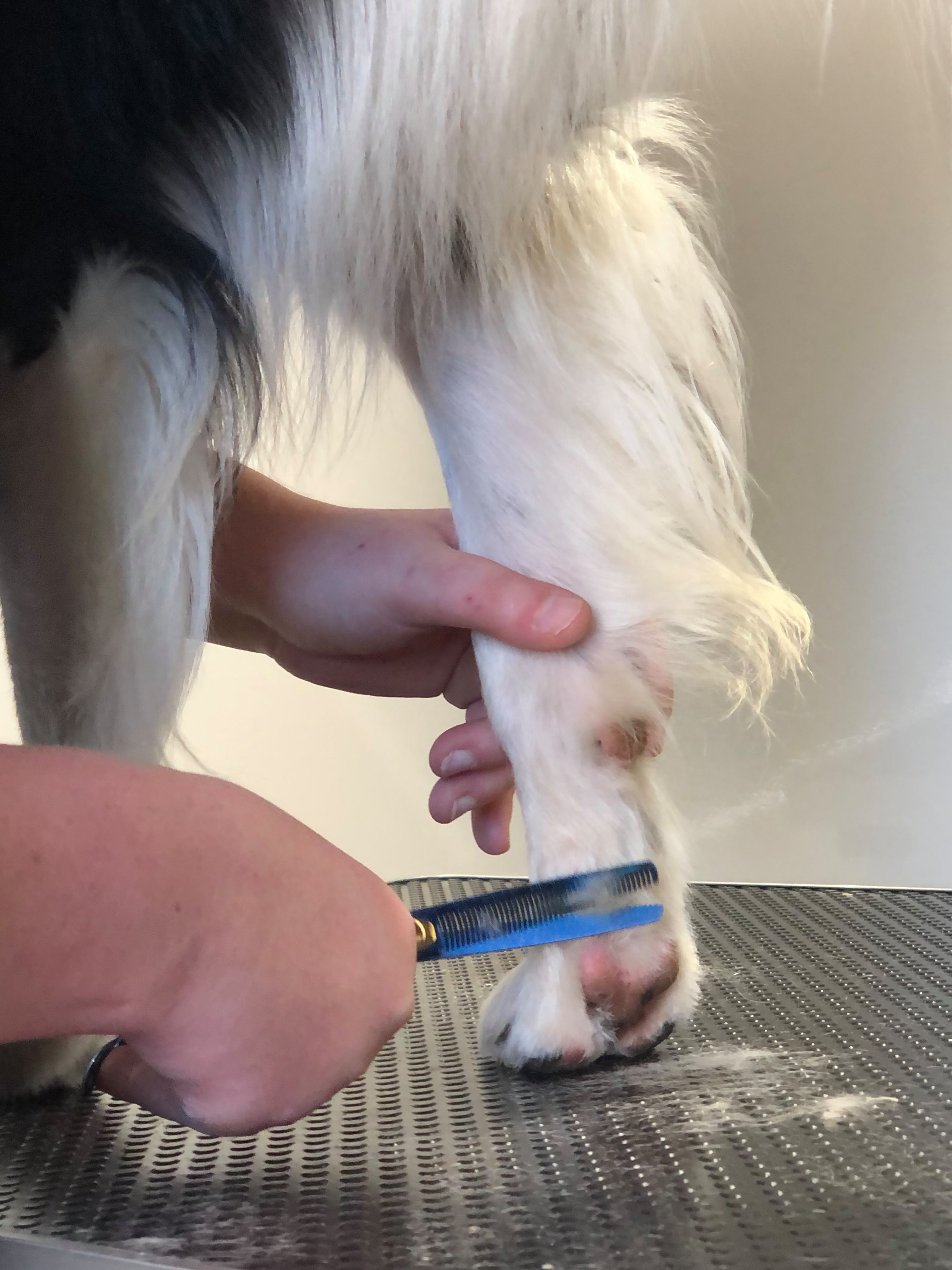 Foto’s – Trim me